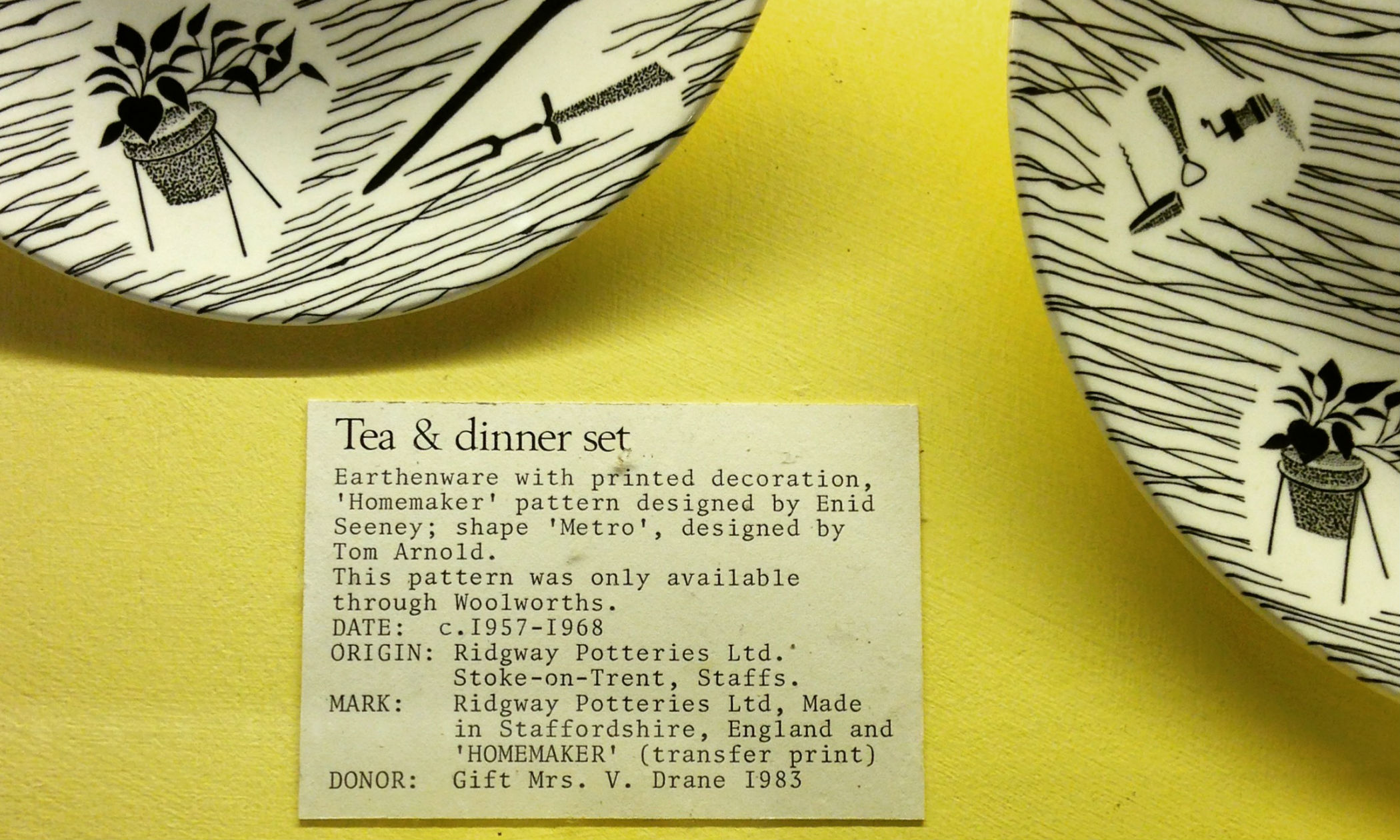 Life at the Museum - Beth Anderson | Maidstone Museum