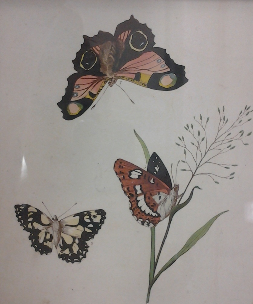 George Baxter: The Picture Printer of the 19th Century | Maidstone Museum