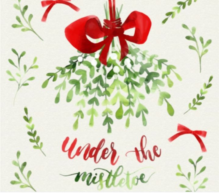 Mistletoe Viscum album | Maidstone Museum