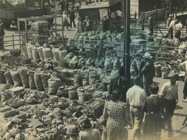 Maidstone and its Industrial Past (Part 1) | Maidstone Museum