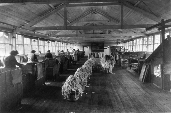 Maidstone and its Industrial Past (Part 3) | Maidstone Museum