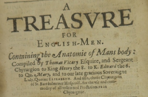 Thomas Vicary (c1440s– 1561) | Maidstone Museum