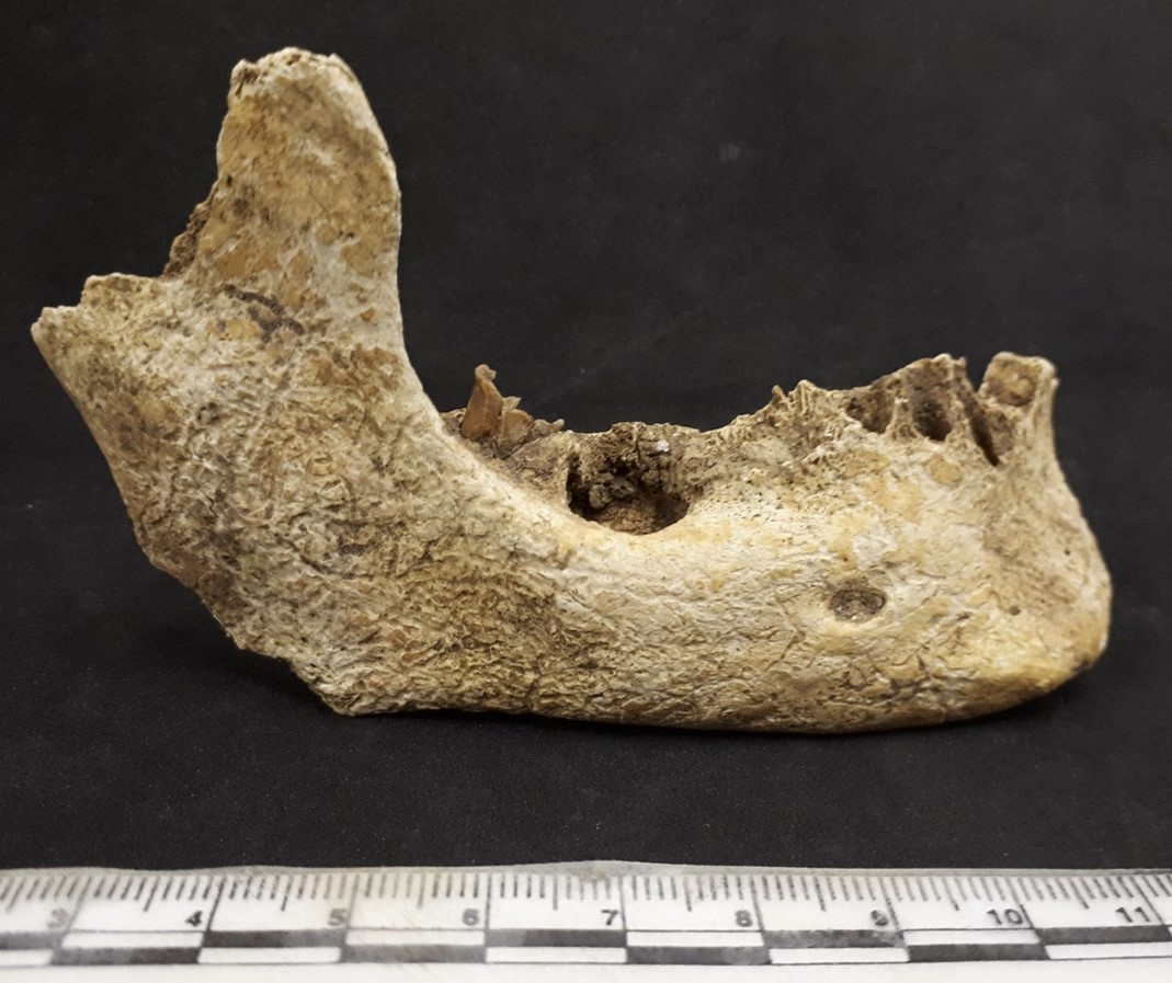 'The Value of Revisiting Archaeology' By Dr Michael Legge | Maidstone ...