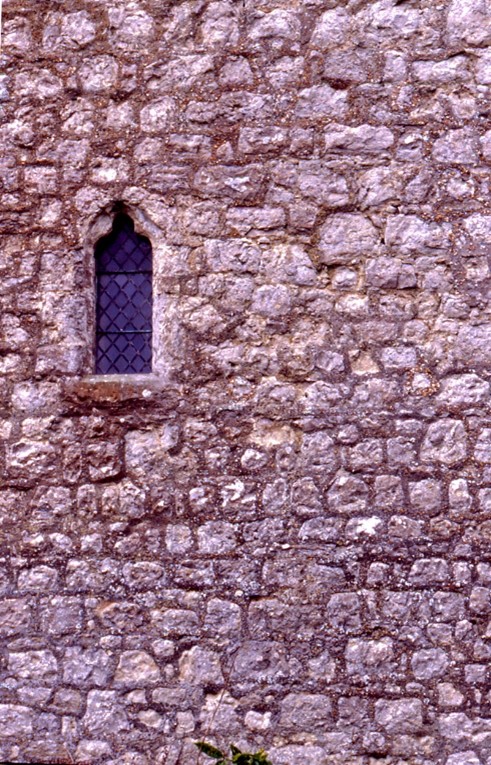 Kentish Ragstone and the Maidstone Iguanodon Blog | Maidstone Museum