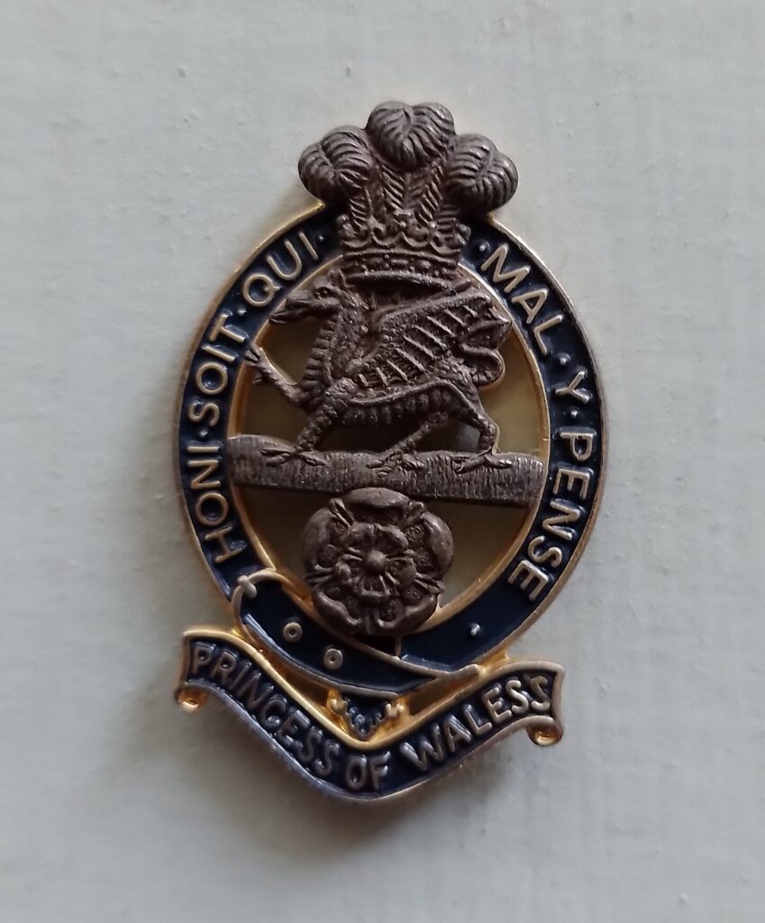 'So, what happened to the Royal West Kents?' | Maidstone Museum